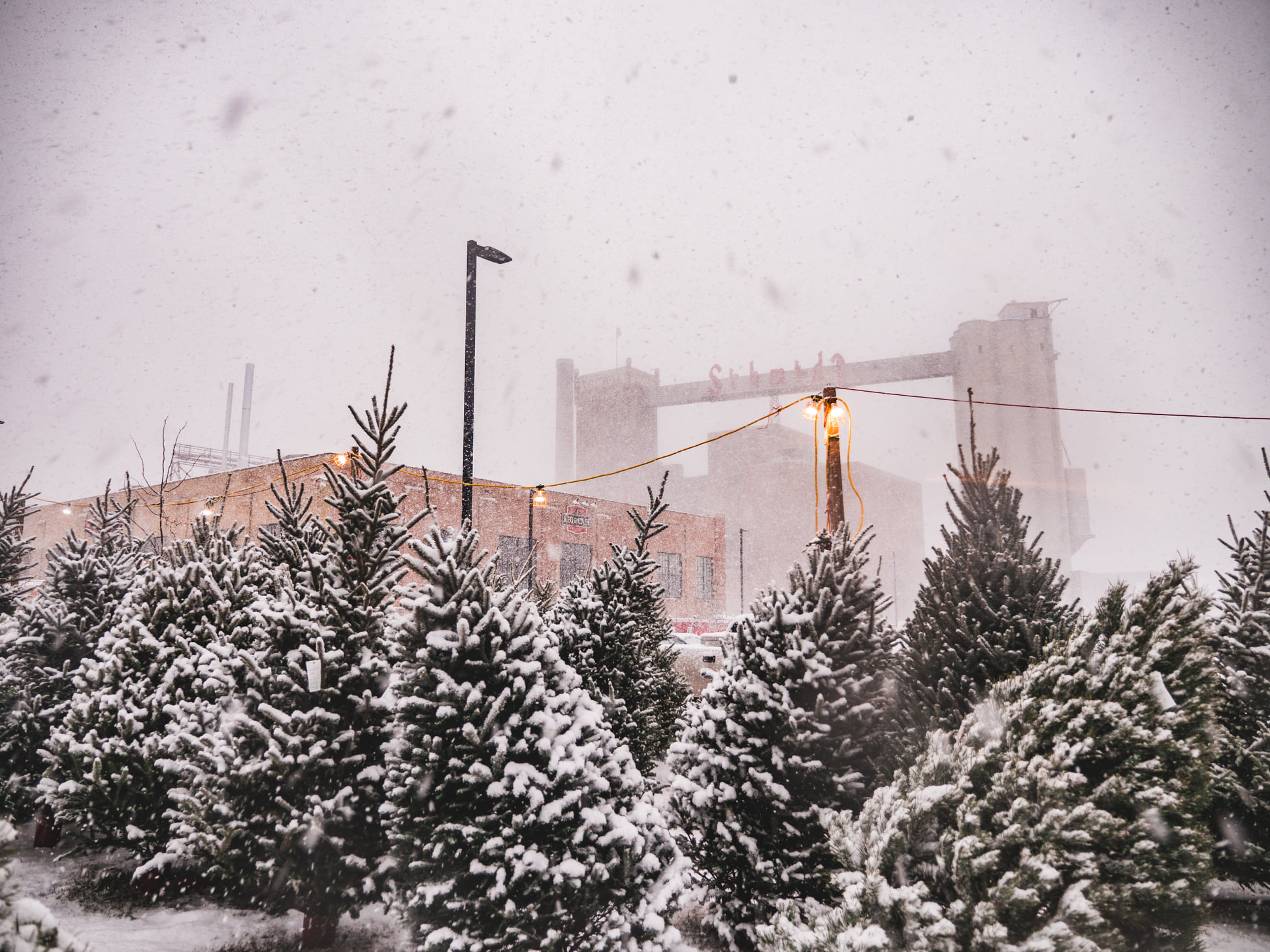 Happy Land Tree Farms - Keg & Case - Minnesota Grown