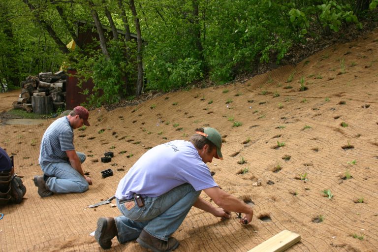 Member Feature: Prairie Restorations Inc. - Minnesota Grown