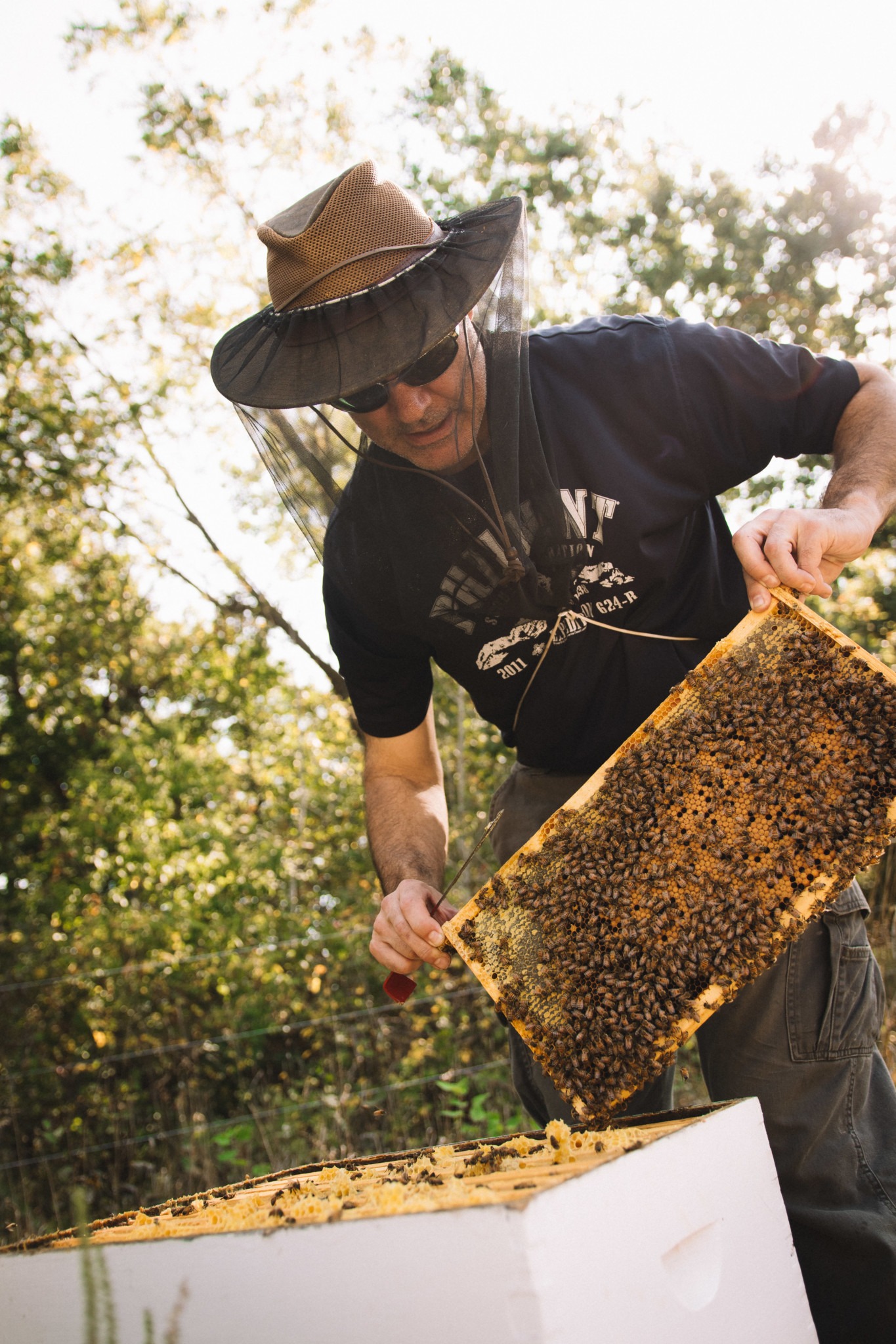 The Bee Shed - Minnesota Grown