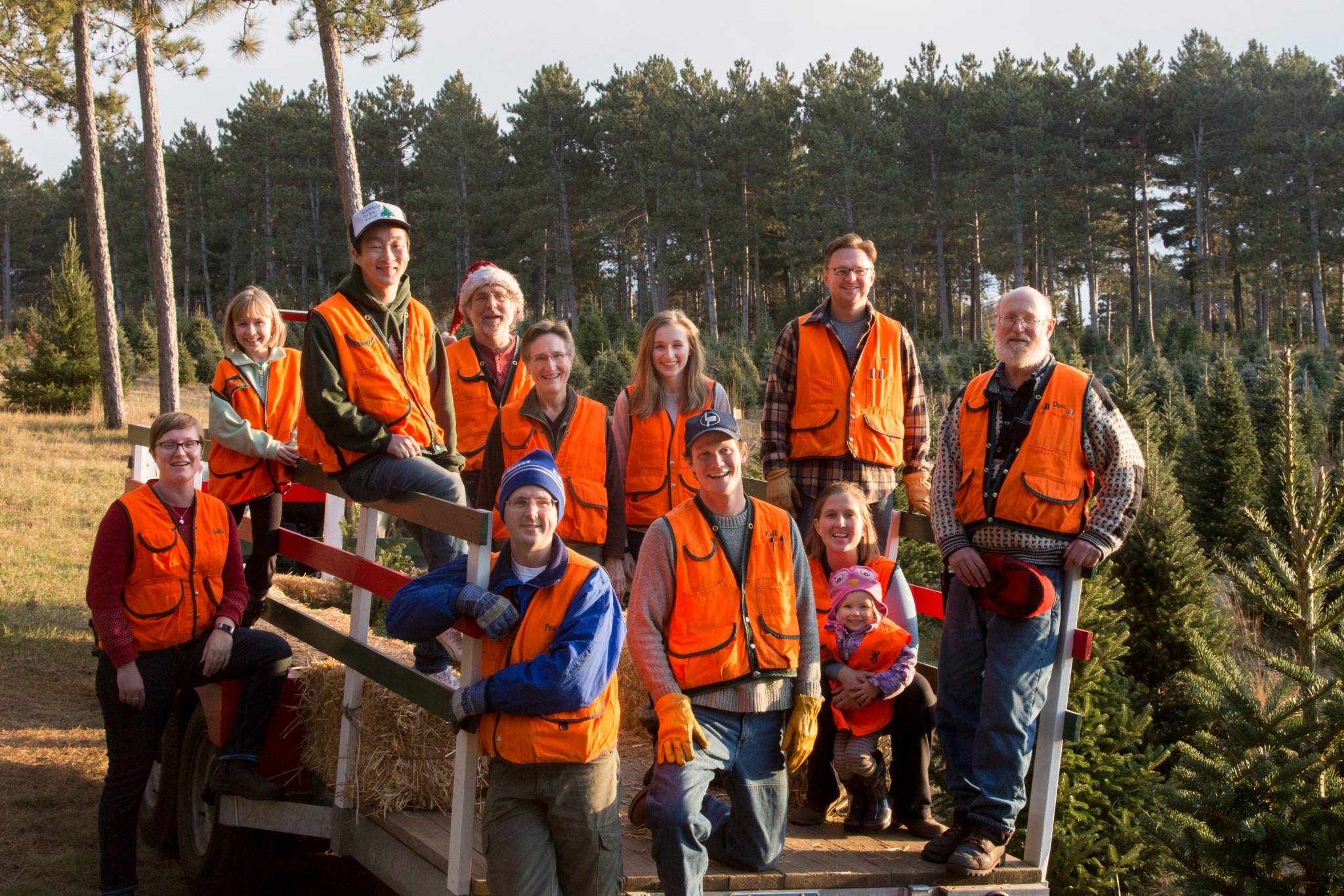 Hansen Tree Farm - Minnesota Grown
