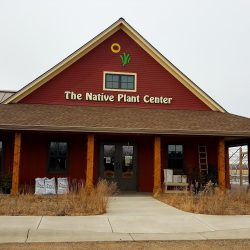 Prairie Restorations, Inc. - Minnesota Grown