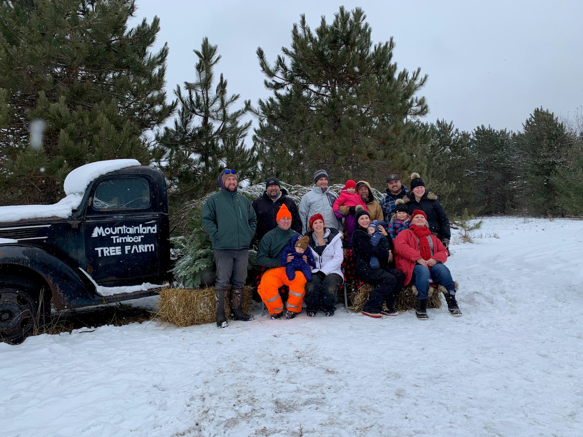 Mountainland Timber Tree Farm - Minnesota Grown