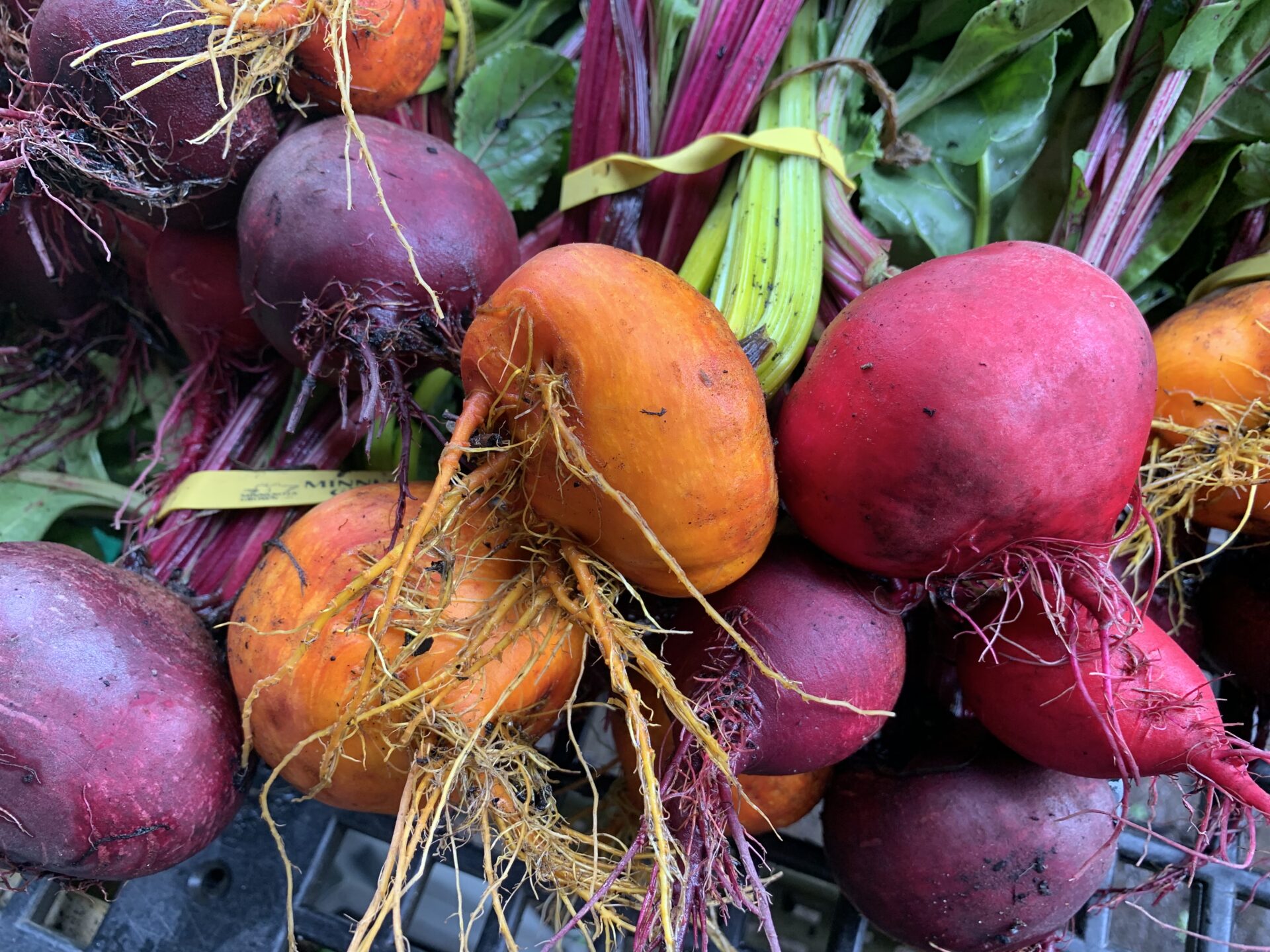 Thompson Produce - Minnesota Grown