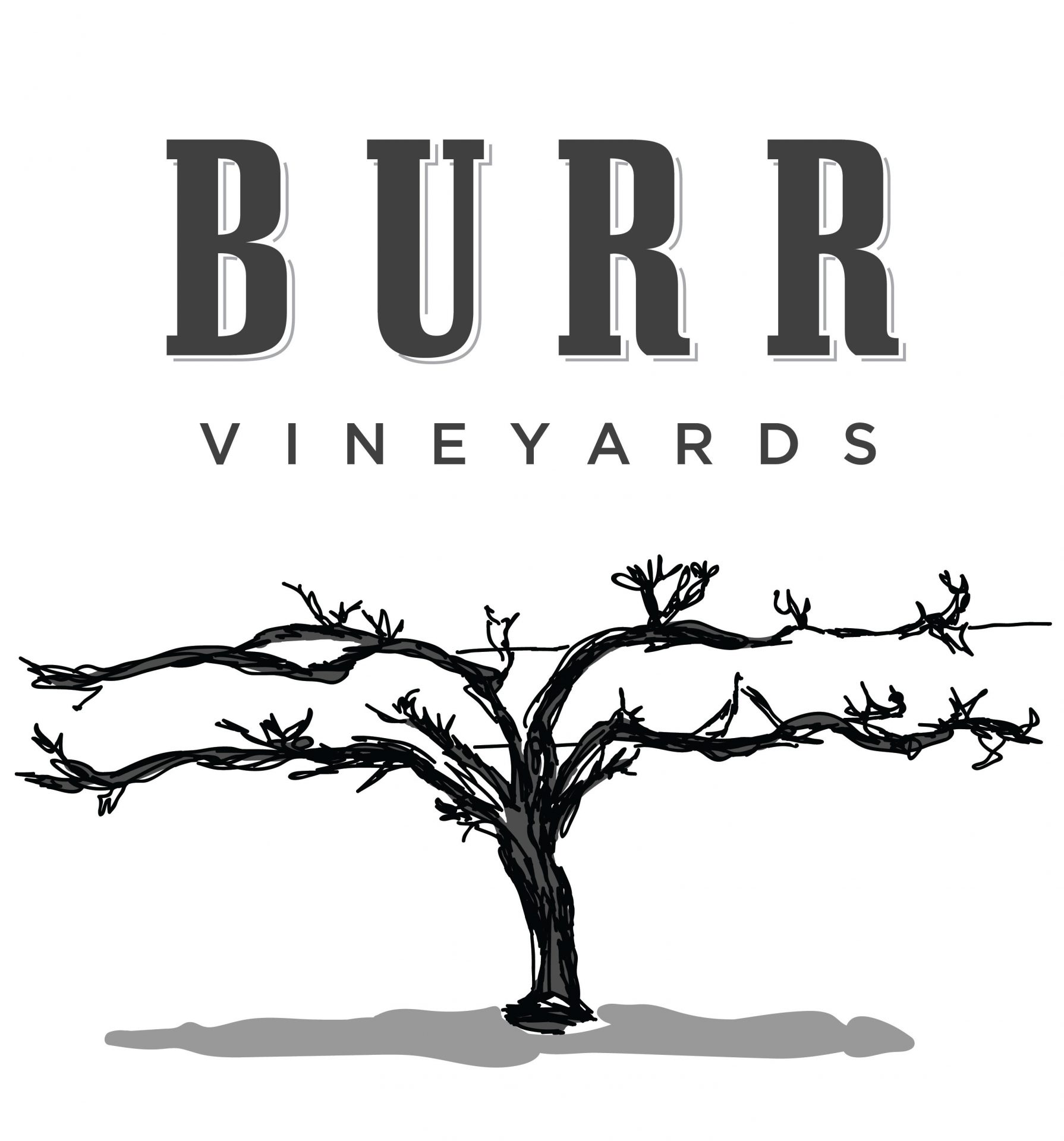 Burr Vineyards - Minnesota Grown