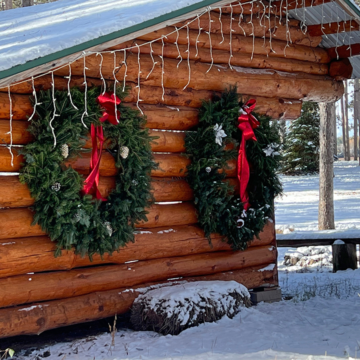 Hansen Tree Farm - Minnesota Grown