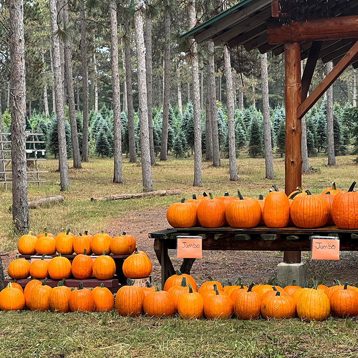 Hansen Tree Farm - Minnesota Grown