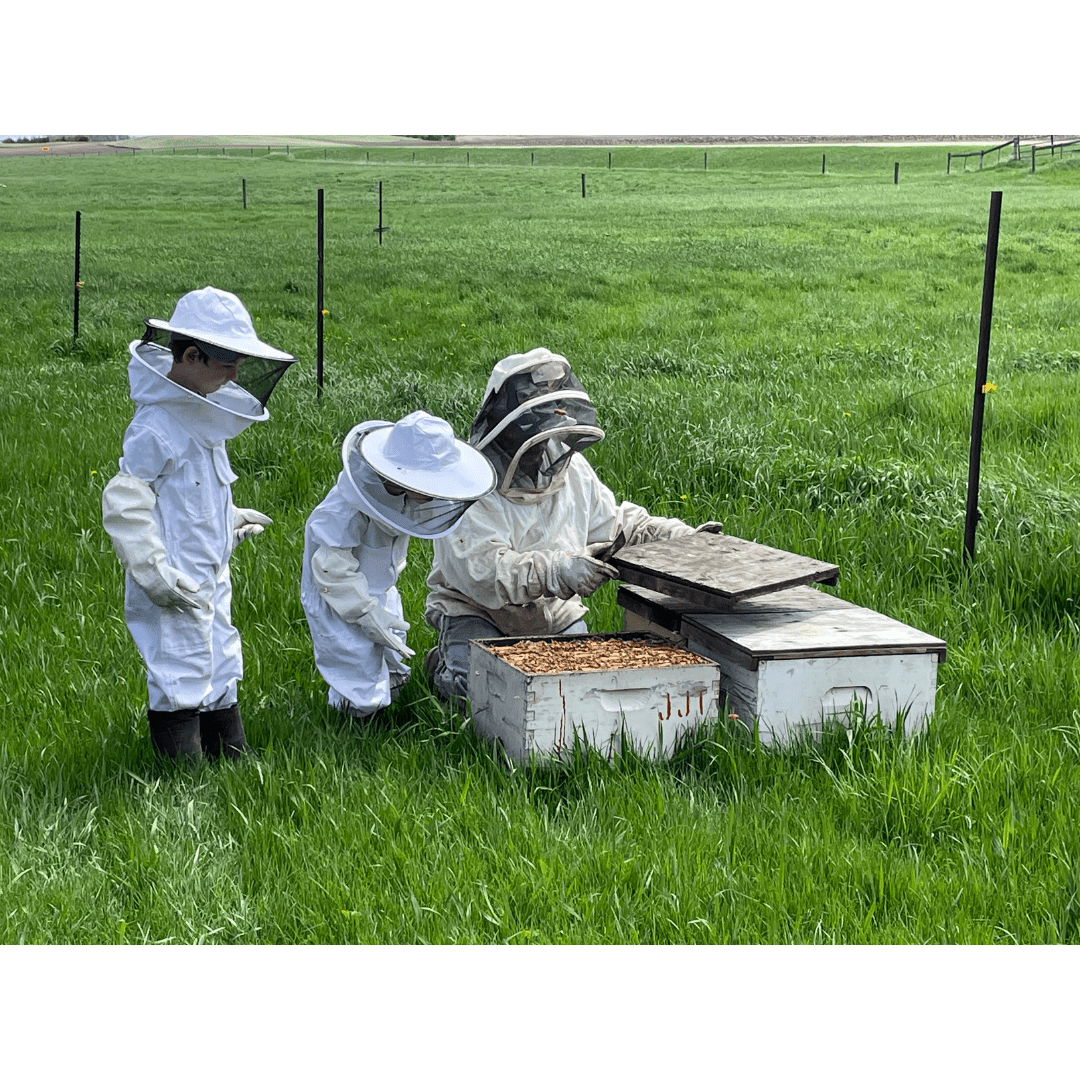 Gardner Bees - Minnesota Grown