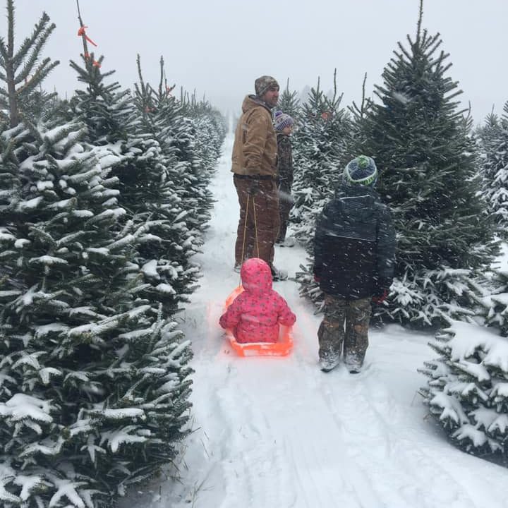 Happy Land Tree Farms, Inc. - Minnesota Grown