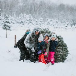 Happy Land Tree Farms, Inc. - Minnesota Grown