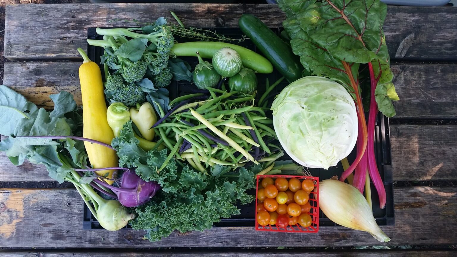 CSA - Minnesota Grown