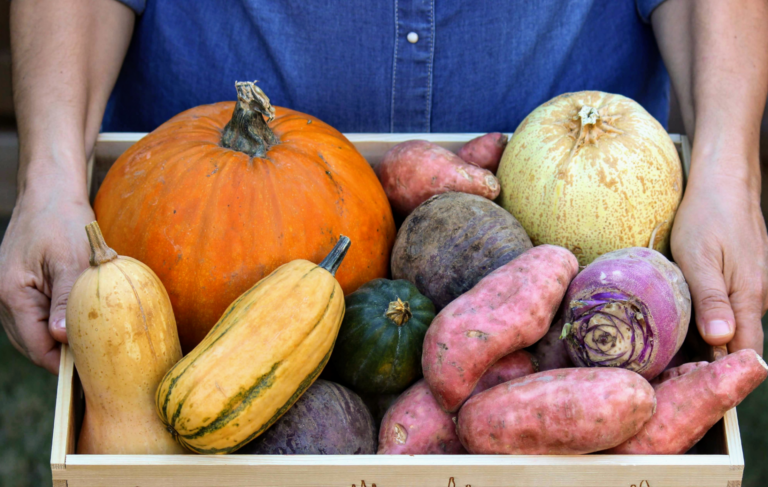 CSA - Minnesota Grown