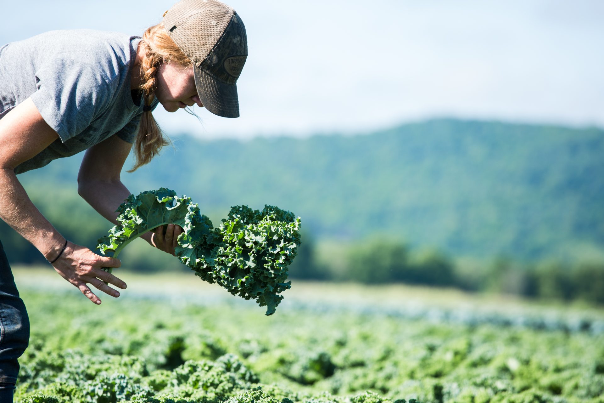 What is a Customizable CSA? - Minnesota Grown