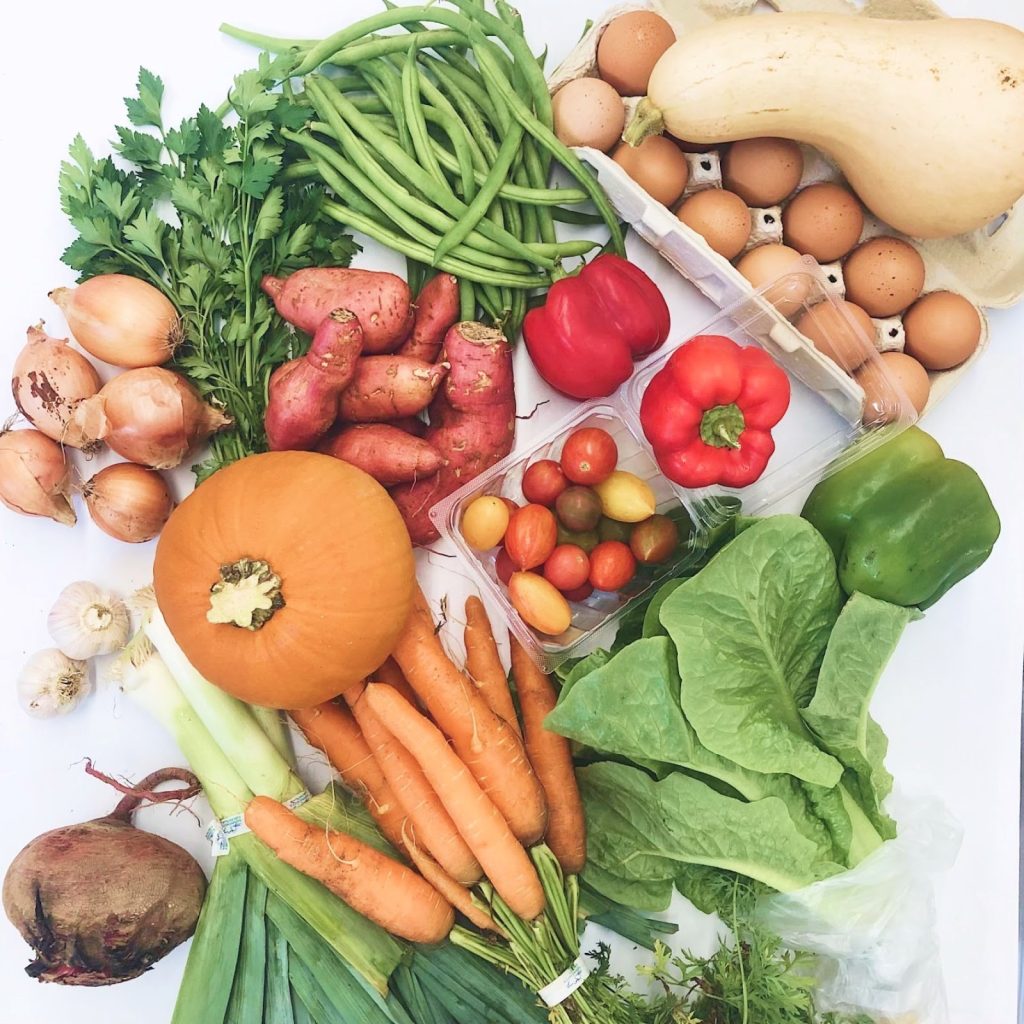 Member Feature: Sprout - Minnesota Grown