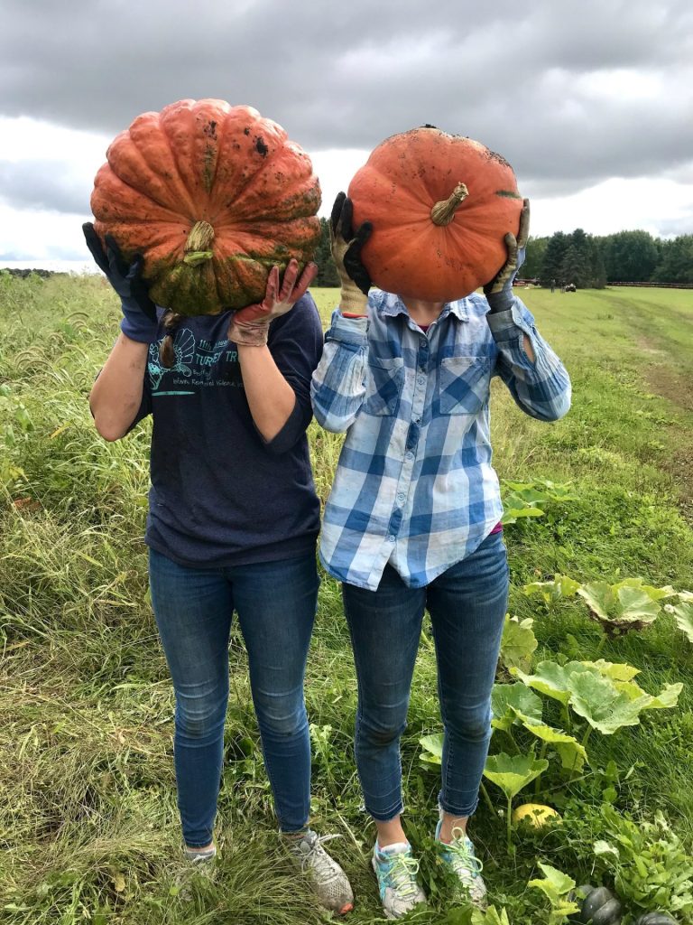 Farm Feature: Barten Pumkins - Minnesota Grown
