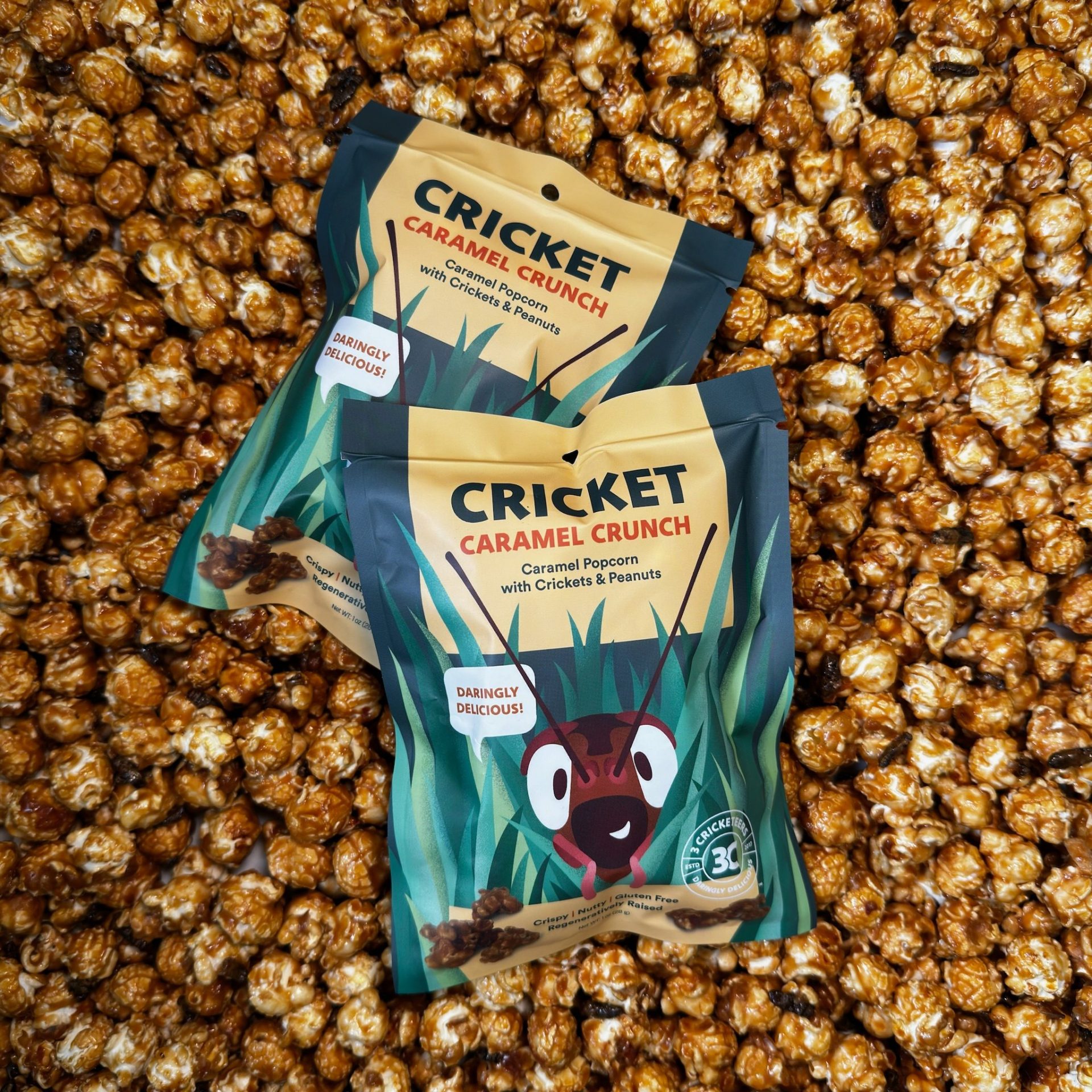 Daring & Delicious: 3 Cricketeers - Minnesota Grown